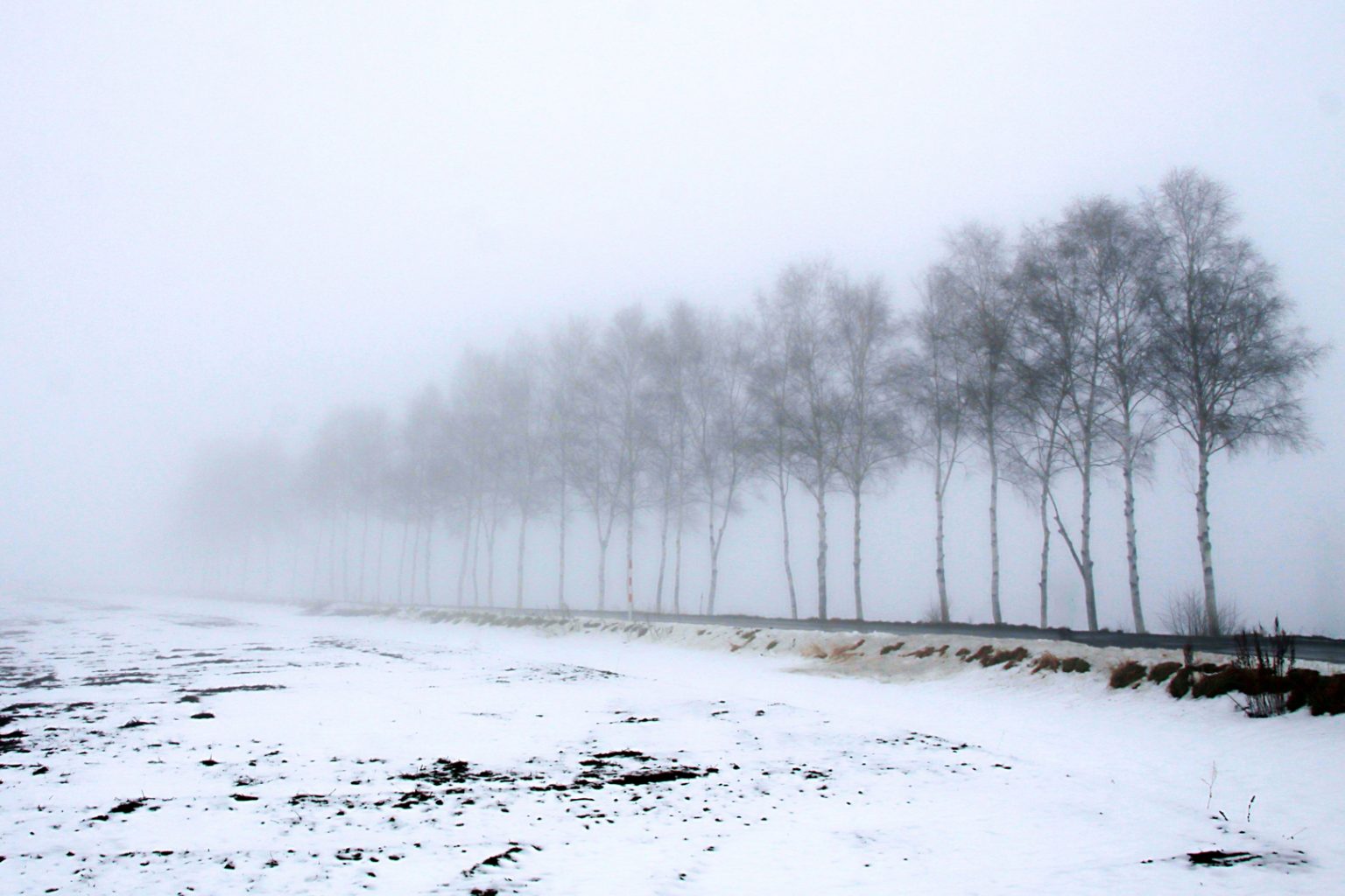 What is freezing fog and how can I prepare for it? - Am I Prepped?
